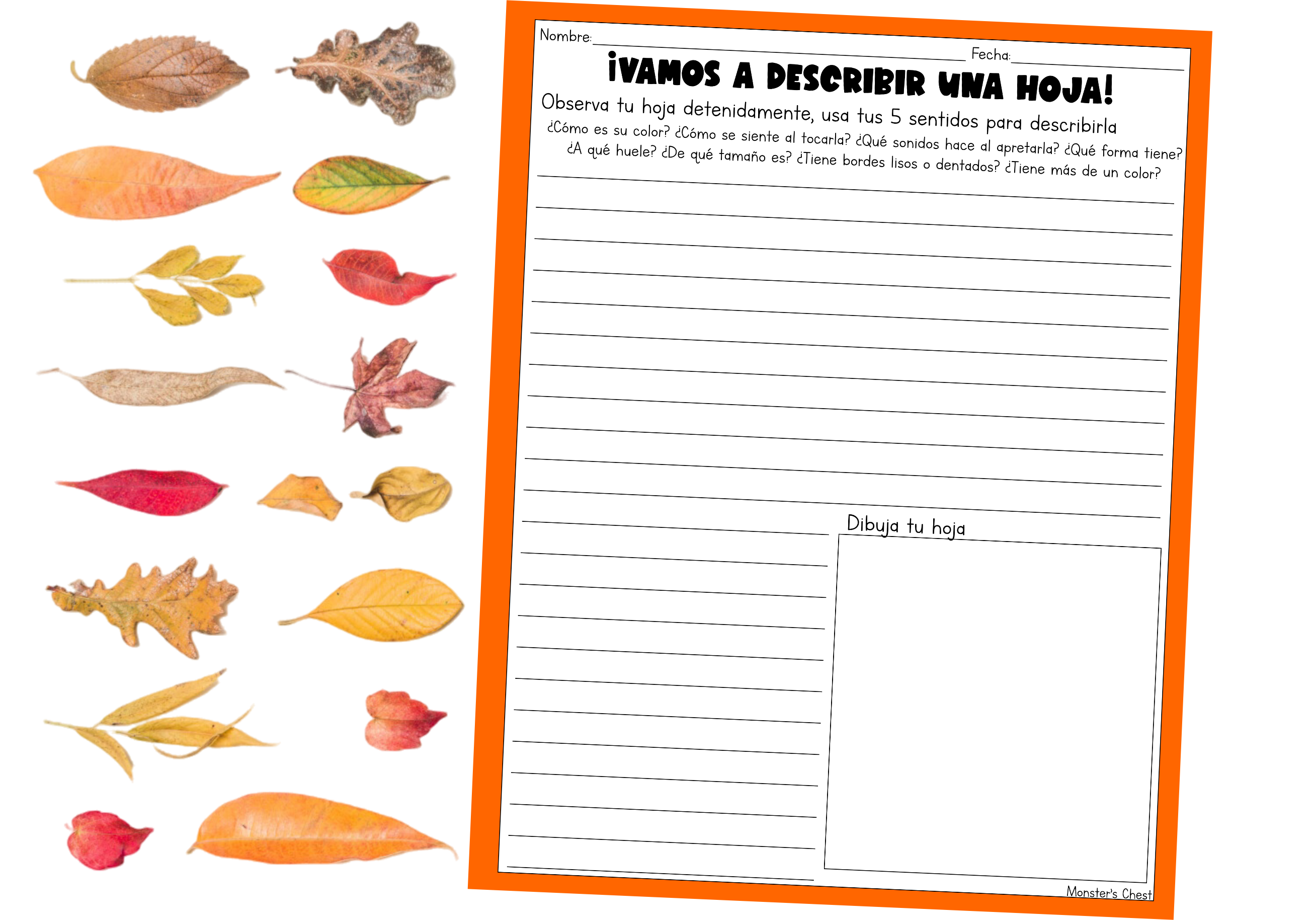 ¡Deja entrar el otoño a tu clase con estas 4 actividades de escritura ...